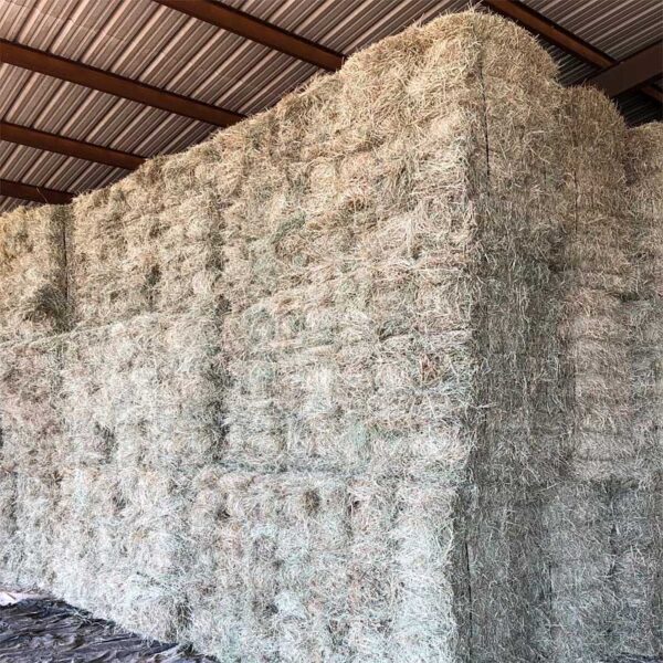 Russell Hay & Sprig Farm | Hay For Sale In Texas