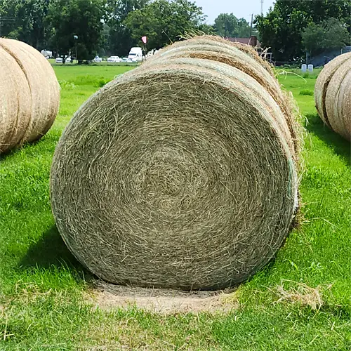 Russell Hay & Sprig Farm | Hay For Sale In Texas